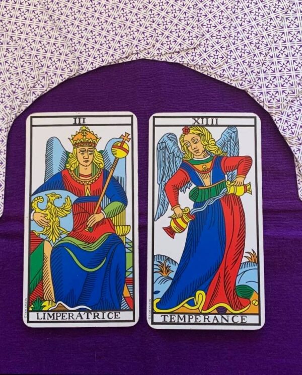 L'EVOLUZIONE CHE GUARDA IL MUTAMENTO - Stefania Ricceri - Fiamma Divina